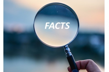 The Importance of Facts | Snyder Mediations | Teddy Snyder